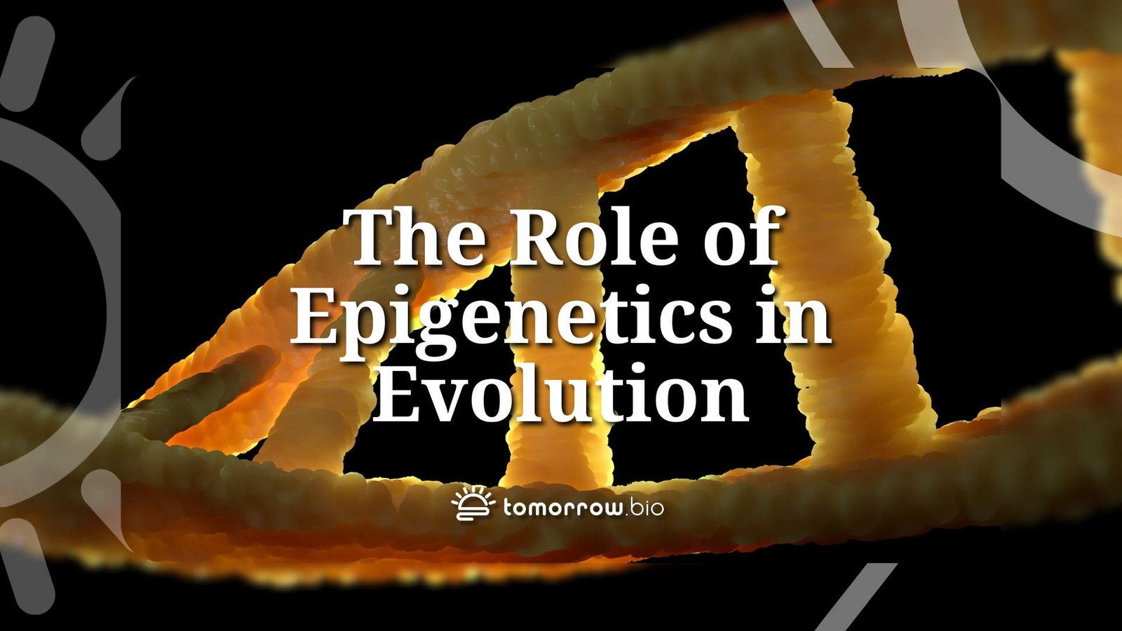 La epigenética: una mirada al papel fundamental en la biología