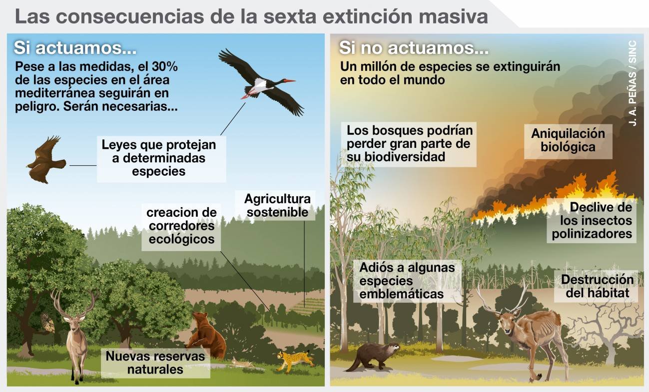 La extinción de especies: causas y supervivencia